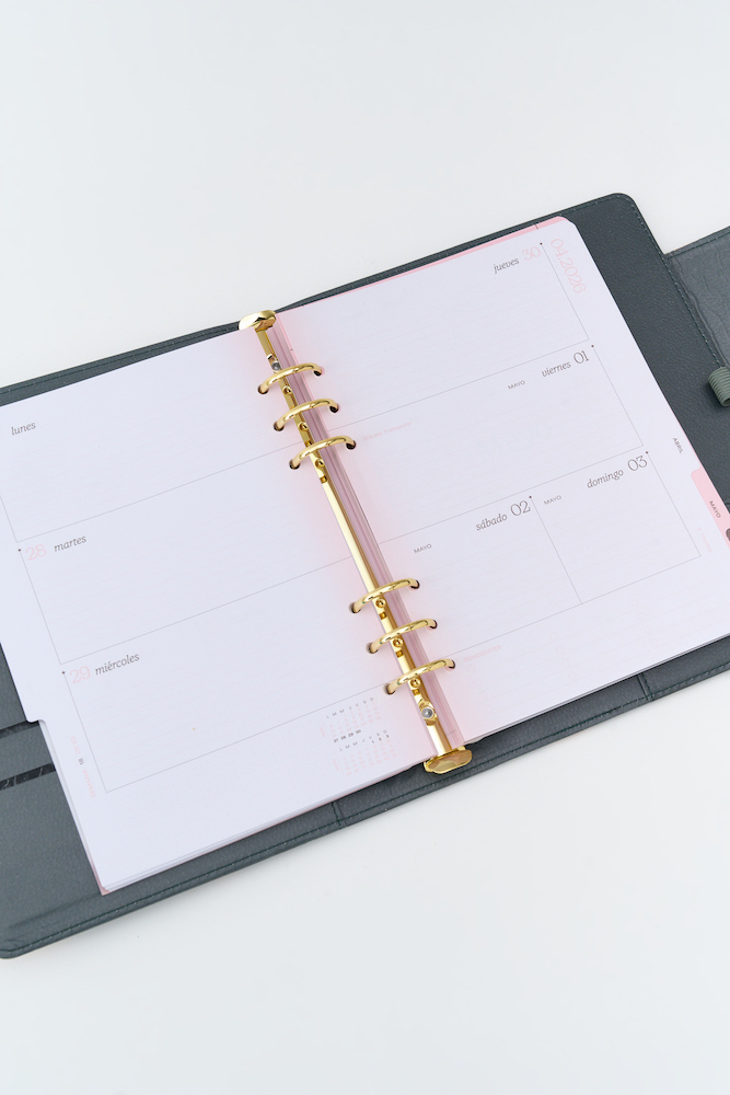 Agenda FW TIMELESS Classic 15x21 semanal - Mundo FW